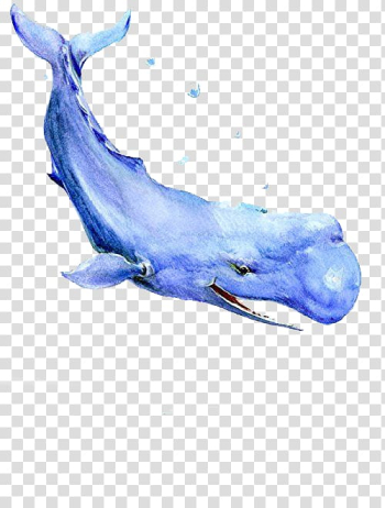 Free: Dolphin Baleen whale Hippopotamus Clip art - whale - nohat.cc