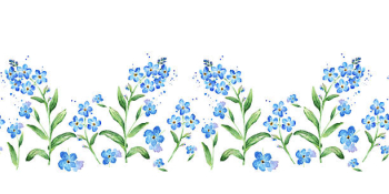 Free: Best Forget Me Not Illustrations, Royalty-Free Vector Graphics ...