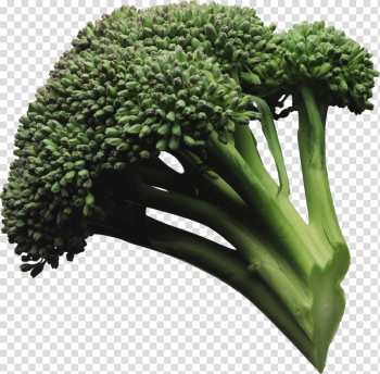 Free: Broccoli Png Image - nohat.cc