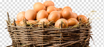 Free: Download Free png Egg PNG image, Download PNG image with ...