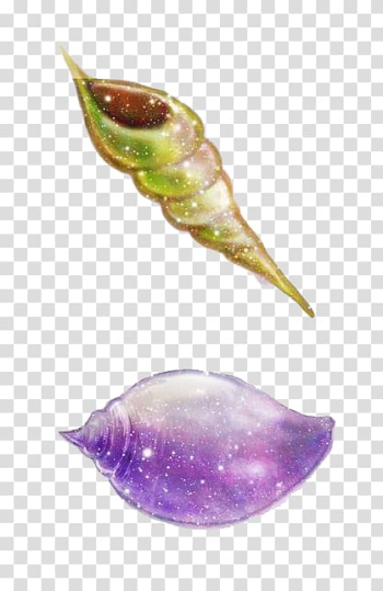 Free: Sea Ocean Png Image Transparent Background - Seashell Png Free ...
