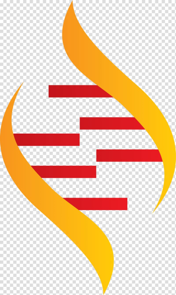 Free: A-DNA Clip art Nucleic acid double helix Portable Network Graphics - dnapng background ...