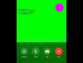 Free: FaceTime Meme Greenscreen Template [DOWNLOAD LINK] - YouTube ...