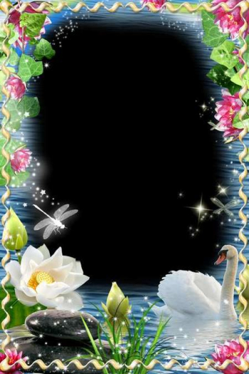 Free: Swan Vector Png, Vectors, PSD, and Clipart for Free Download ...