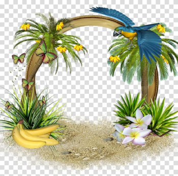 Free: Frames , exotic transparent background PNG clipart - nohat.cc