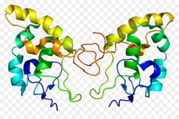 Protein Structure Clipart