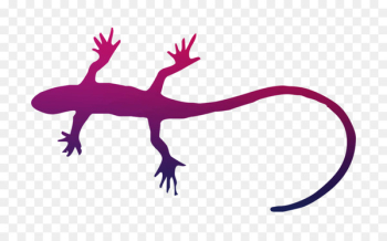 Free: Gecko Lizard Clip art Fauna - - nohat.cc