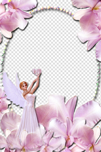 Free: Angel Frames, angel transparent background PNG clipart - nohat.cc