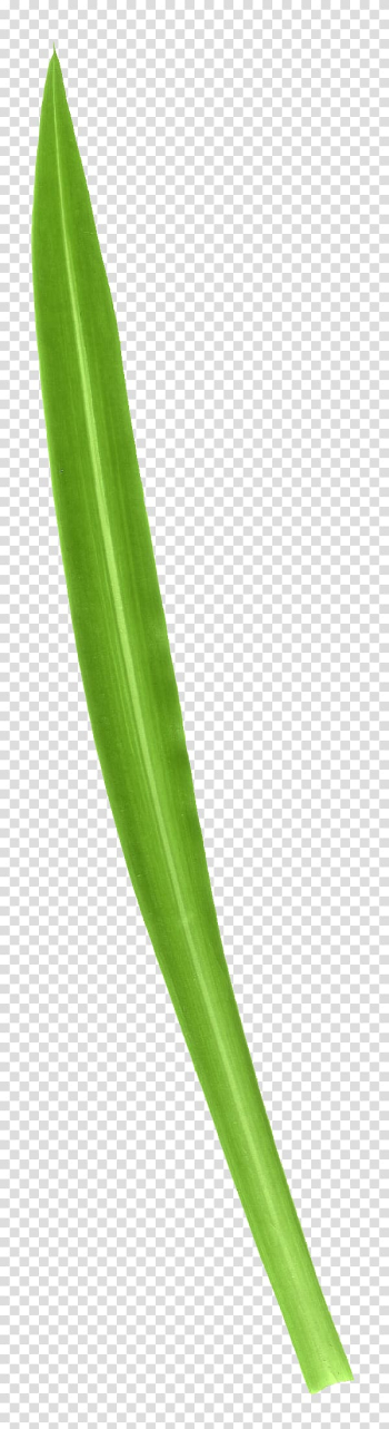 Free: Leaf Computer Icons Silhouette , Leaf transparent background PNG ...