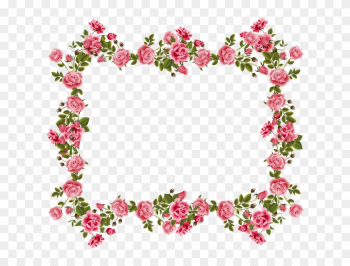 Borde De Rosas Scarlet Pavement | Pavement Rozen | Rosarium Lottum