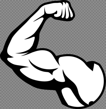 Free: Muscle Arm PNG Picture - nohat.cc
