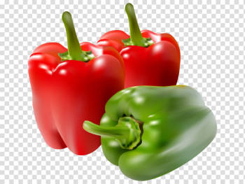 Free: Paprika PNG High-Quality Image - nohat.cc