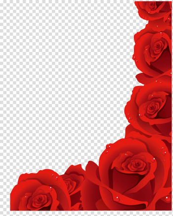 Free: Rose Lace pattern backgrounds, rose drawings transparent ...