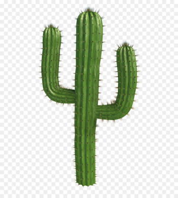 Free: Saguaro National Park Cactaceae Desert Clip art - cactus - nohat.cc