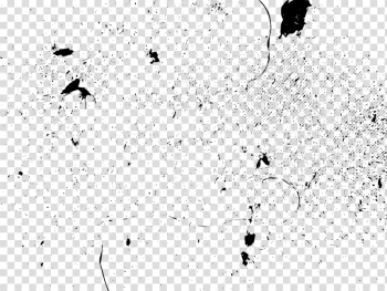 Free: Scratches Transparent Background PNG - nohat.cc