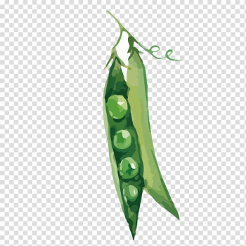 Pod Clipart Peas In A Pod Good Clip Art