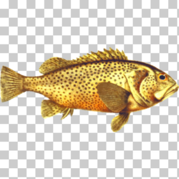 Free: Vector islamic background - nohat.cc