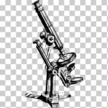 Free: Clip art Optical microscope Vector graphics Light - microscope ...
