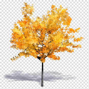 Free: Tree Autodesk Revit Woody plant Building information modeling ...