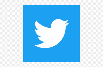 Twitter Logo White Bird