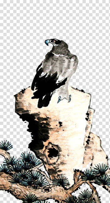 Free: Flower , chinese flower transparent background PNG clipart - nohat.cc