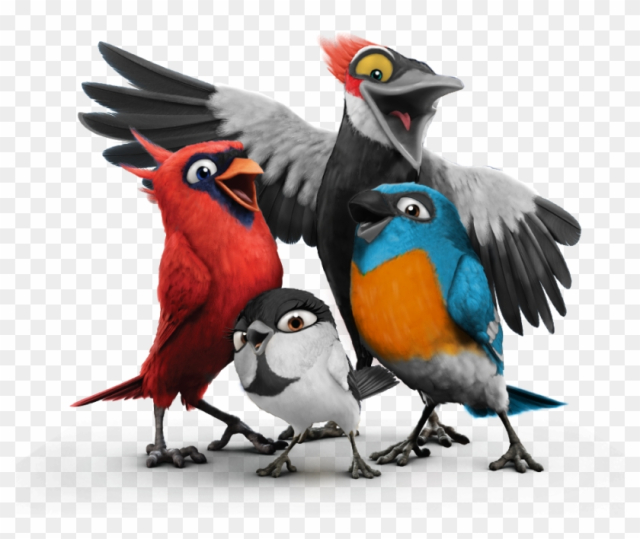 Free: 15 Of The Most Beautiful Birds In World Nature Babamail - Moving ...