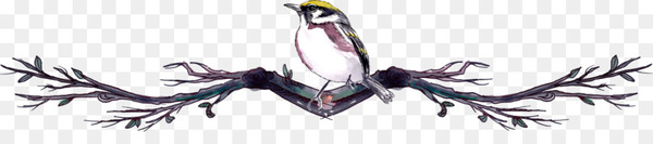 Free: 365-day calendar Month Common year Leap year - Cute little bird ...