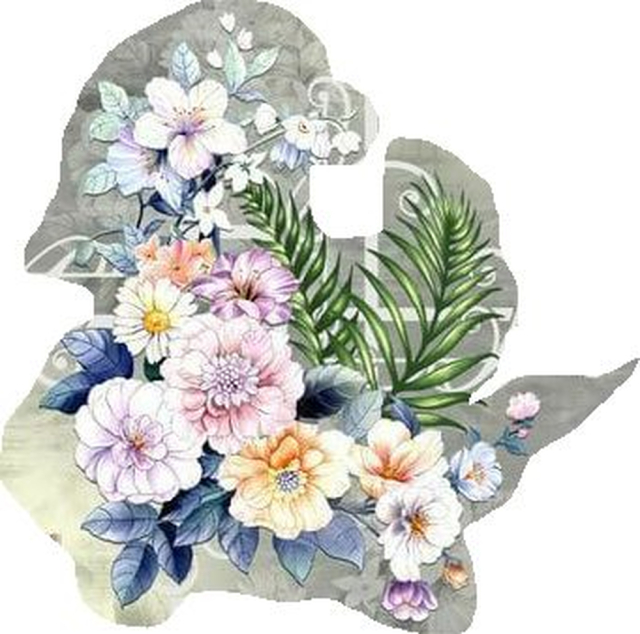 Free: 654654+987407 - nohat.cc