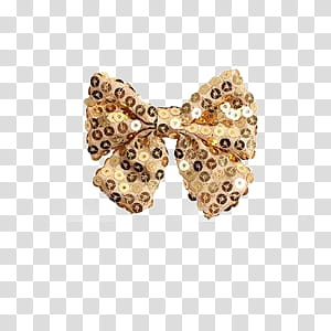 Free: Accessories, brown ribbon transparent background PNG clipart ...