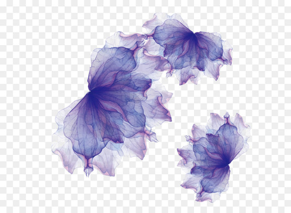 Free: Adobe Illustrator Euclidean vector - Lavender Floral cosmetics ...