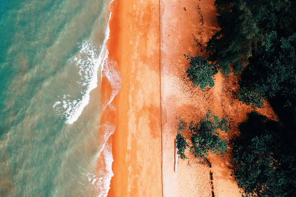 Free: Aerial Photography of Body Ocean Near Trees - nohat.cc
