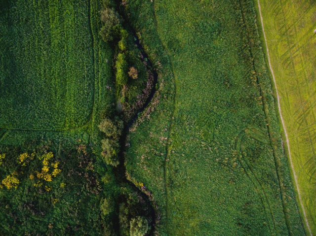 Free: Aerial Photography of Plans and Trees - nohat.cc