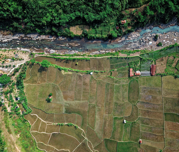 Free: Aerial Photography Of River Beside Cropland - nohat.cc