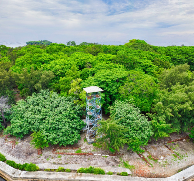 Free: Aerial Photography of Watchtower Near Trees - nohat.cc
