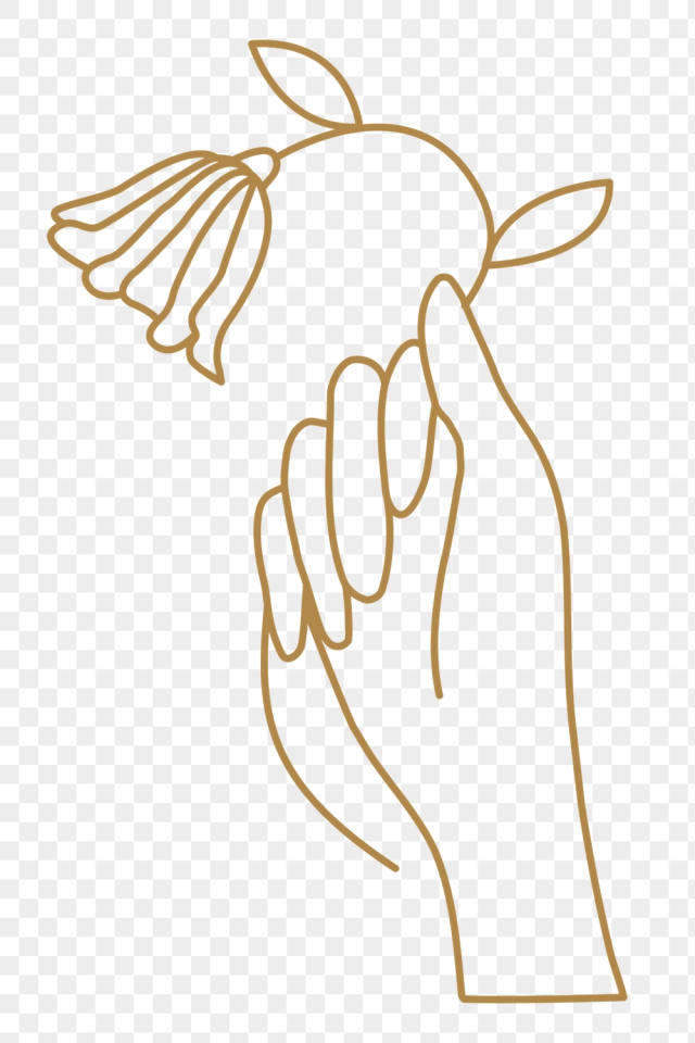 Free: Aesthetic hand png sticker on transparent | Free PNG - rawpixel ...