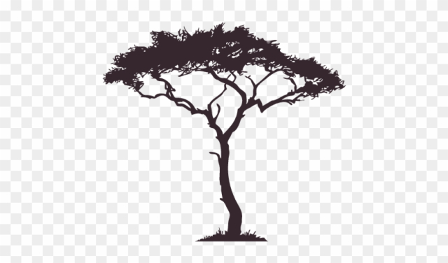 Free: African Tree Decal - Trees In Africa Drawing - nohat.cc