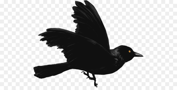 Free: American crow New Caledonian crow Common raven - corbeau streamer ...