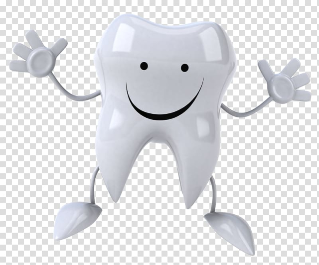 Free: Animated tooth illustration, Dentistry Human tooth Crown, White ...