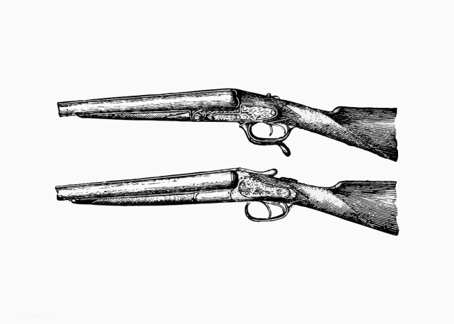 Free: Antique firearms drawing | Free stock vector - 573272 - nohat.cc