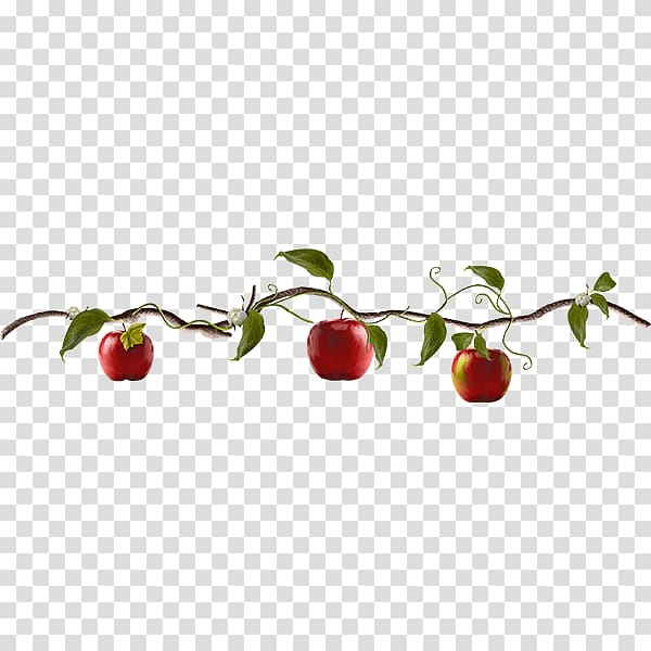 Free: Apple Fruit , Creative apple tree transparent background PNG ...