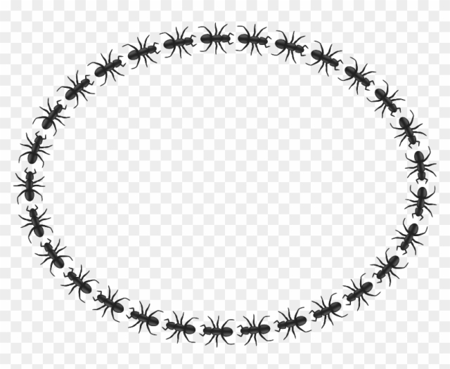 Free: Art Free Ant Border Oval - Icon Border Circle Png - nohat.cc