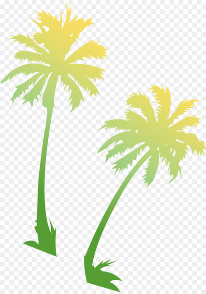 Free: Asian palmyra palm Coconut Portable Network Graphics Palm trees ...