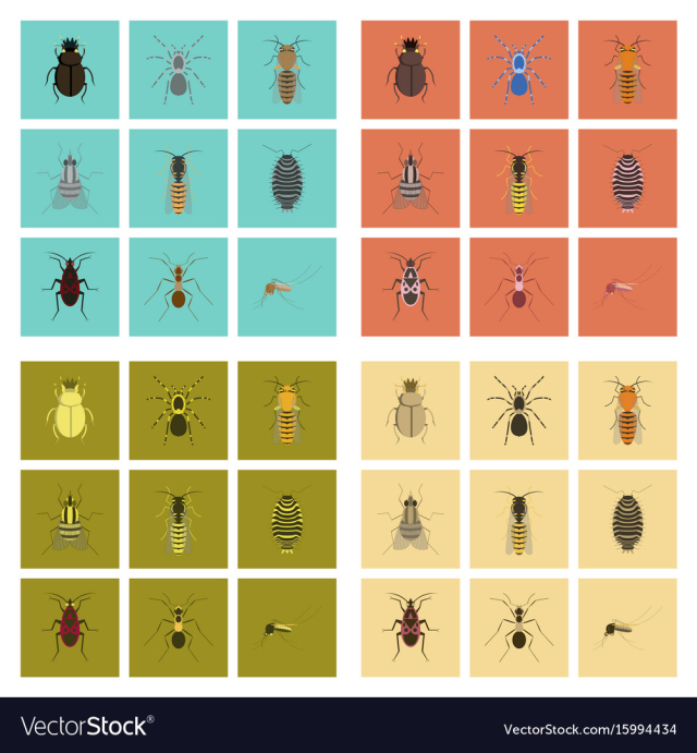 Free: Assembly flat insect wasp soldier vector image - nohat.cc