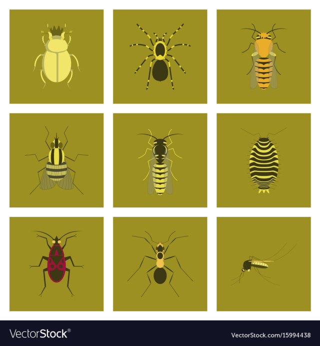Free: Assembly flat insect wasp soldier vector image - nohat.cc