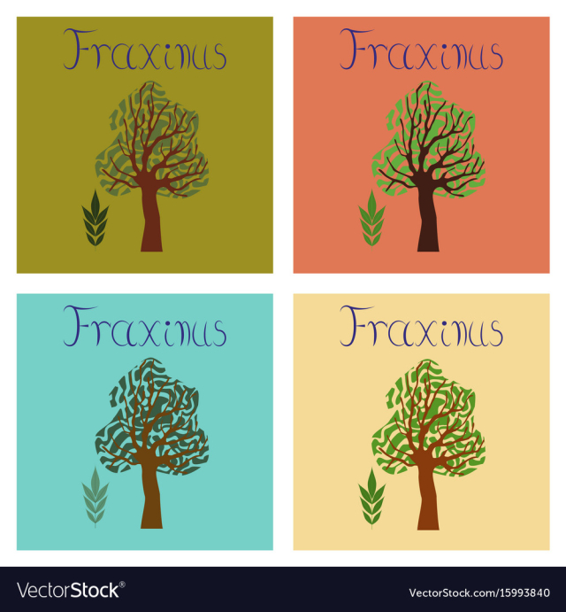 Free: Assembly flat nature plant fraxinus vector image - nohat.cc