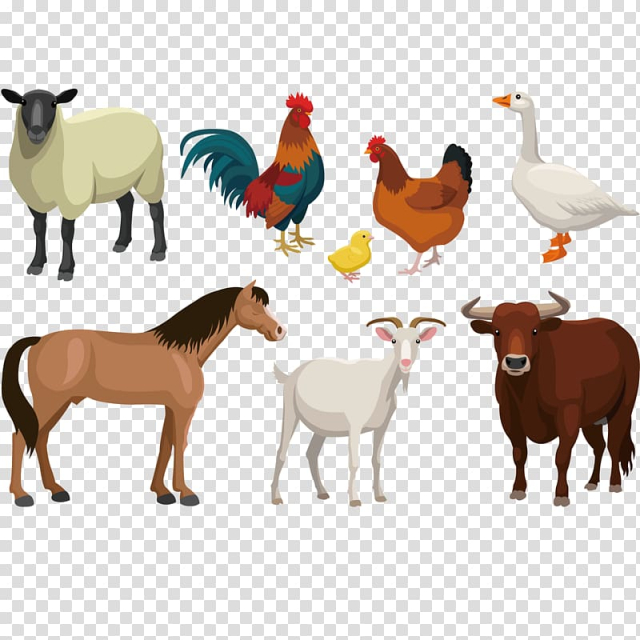 Free: Assorted animals illustration, Cattle Goat Sheep Live, Farm ...