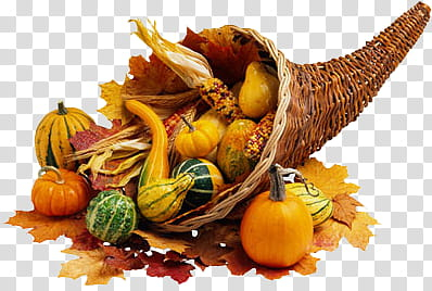 Free: Autumn, assorted fruits transparent background PNG clipart - nohat.cc
