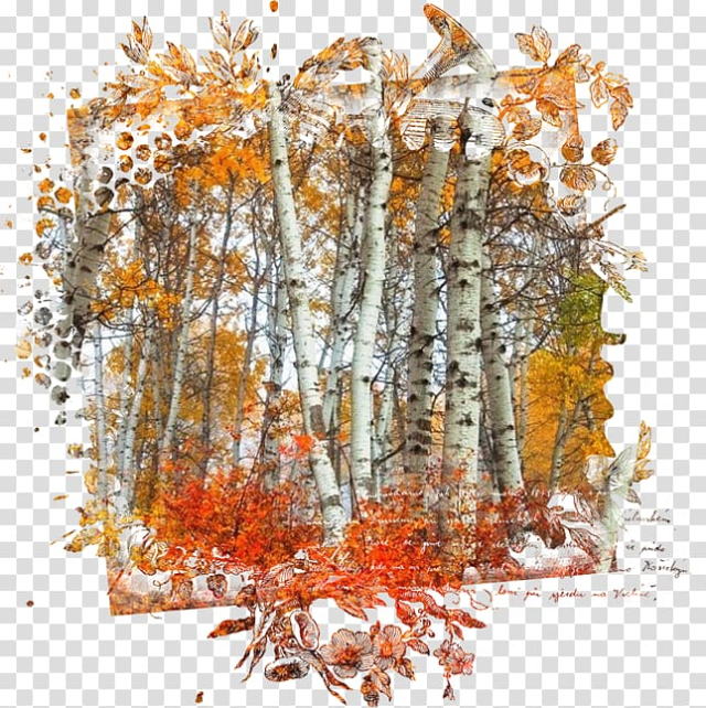 Free: Autumn Collage , autumn transparent background PNG clipart - nohat.cc