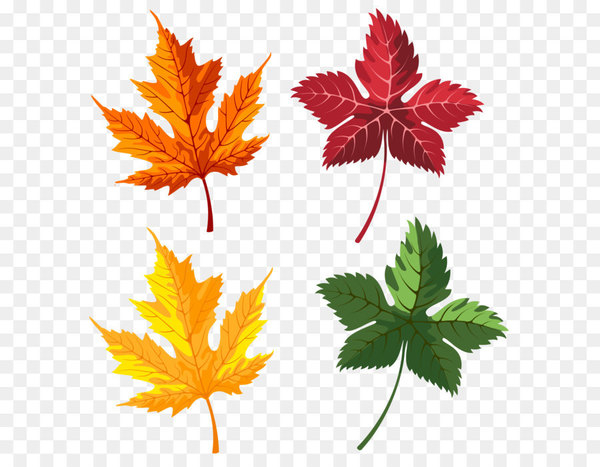 Free: Autumn Leaf Clip art - Autumn Leaves Set Clipart PNG Image - nohat.cc