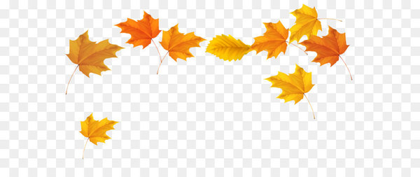 Free: Autumn leaf color Clip art - Fall Leaves Picture - nohat.cc